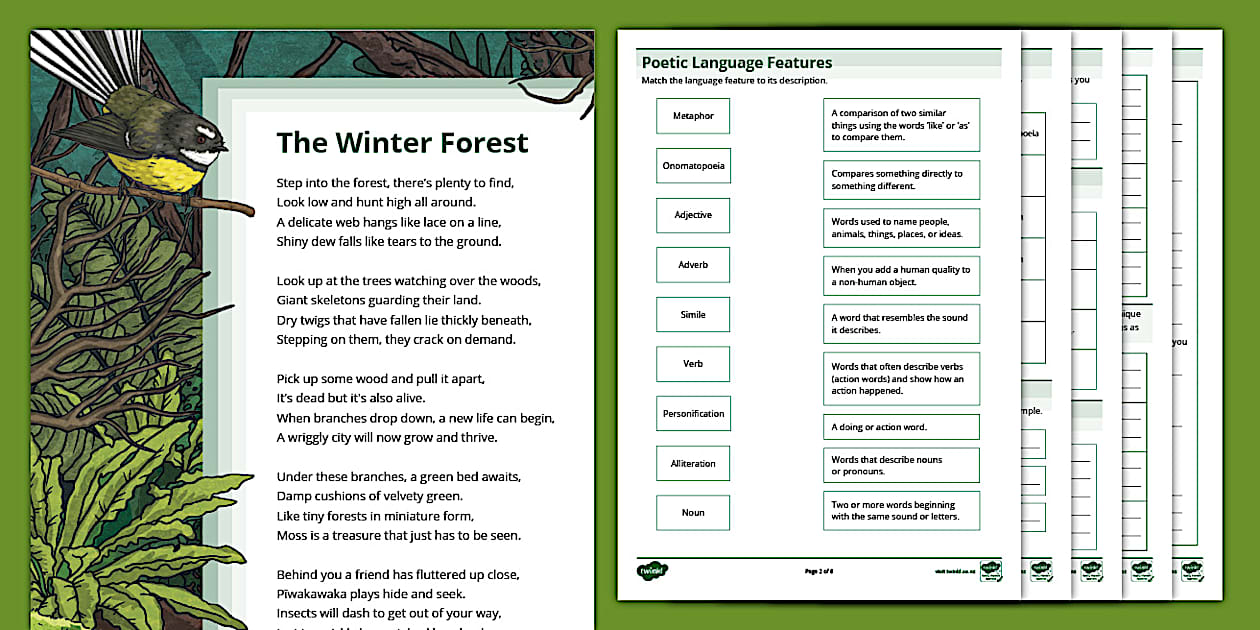 The Winter Forest - Year 7-8 Poem Pack (Teacher-Made)