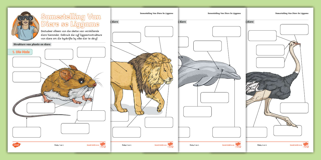 Samestelling Van Diere se Liggame - Noem Die Dele - Twinkl