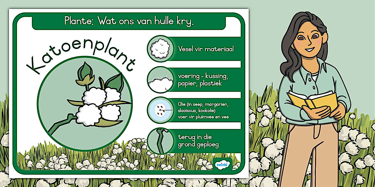 Graad 3 Plante: Wat ons van hulle kry. (teacher made)