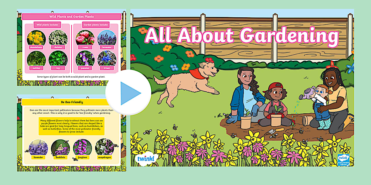 KS1 All About Gardening PowerPoint (teacher made) - Twinkl