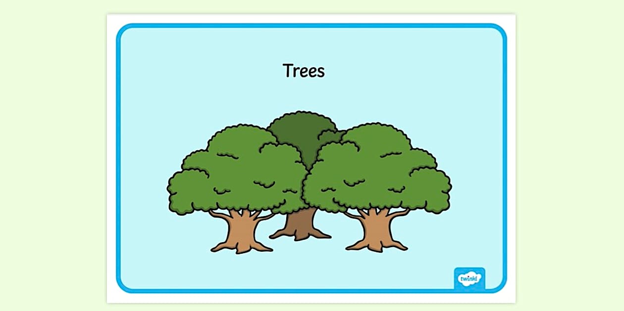 Poster of Trees Display by Twinkl | Primary Resources