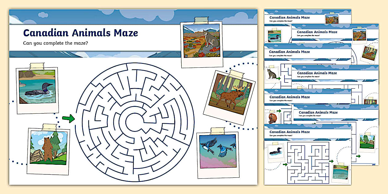 Canadian Animals Maze - Twinkl Classroom Management