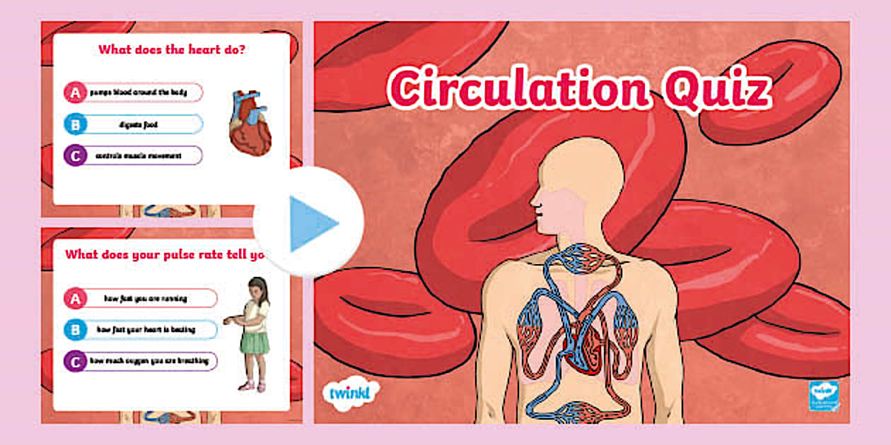 Science Circulation PowerPoint Quiz - Twinkl - KS2 - Twinkl
