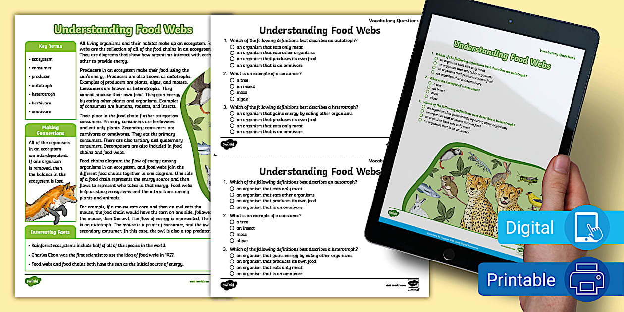 Food Webs Fact File | Printable & Digital Teaching Resources