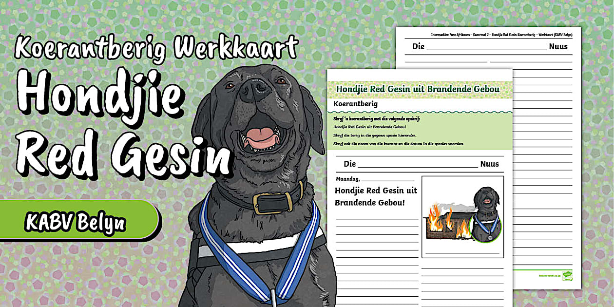 Afrikaans Hondjie Red Gesin Koerantberig Werkkaart