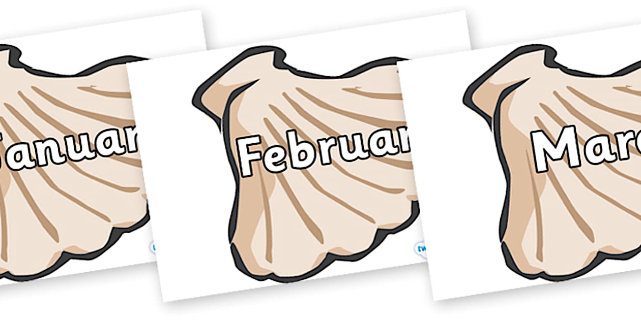 Months of the Year on Sea Shells (teacher made) - Twinkl