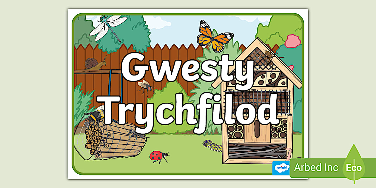 Poster Arddangos Gwesty Trychfilod (teacher made) - Twinkl
