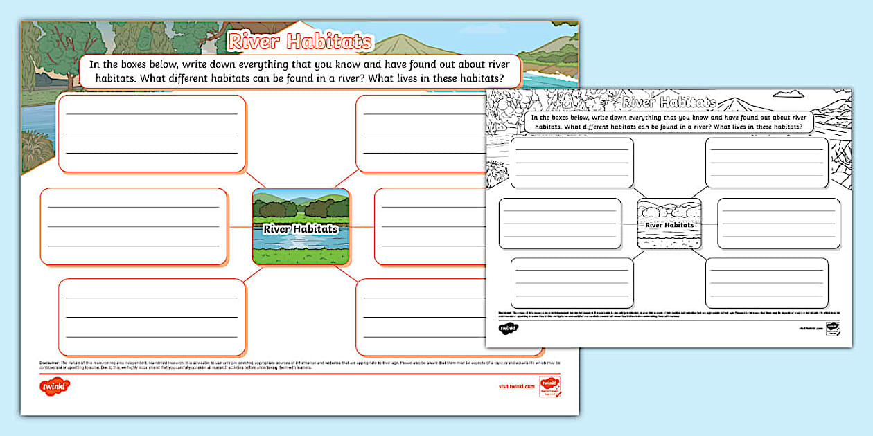 KS1 River Habitats Mind Map (teacher made) - Twinkl
