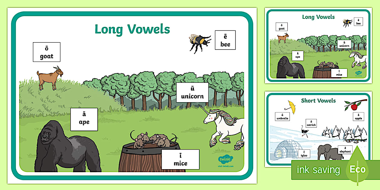 Long and Short Vowels Display Posters - Twinkl