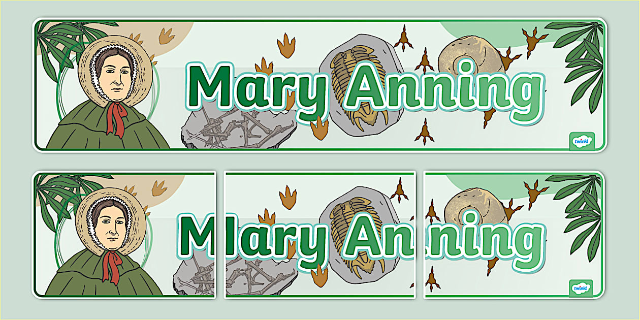 Mary Anning Display Banner