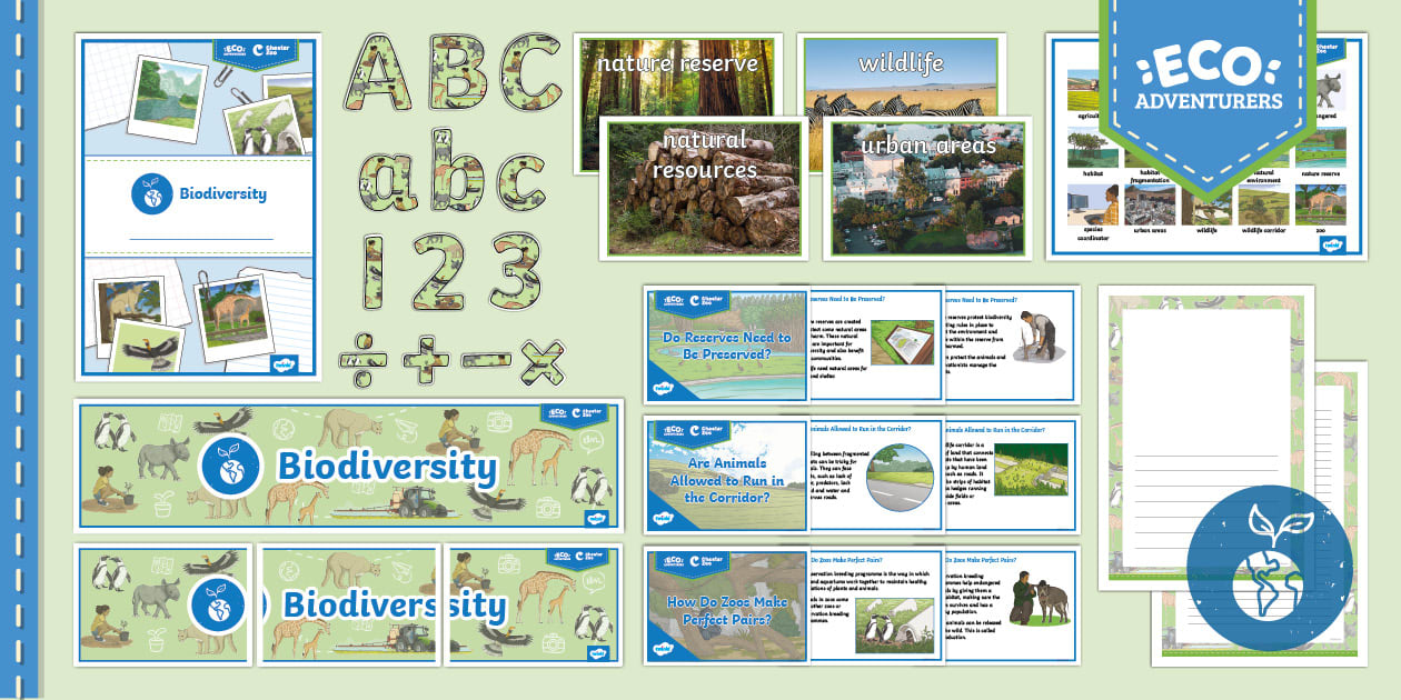 FREE! - Year 4 Biodiversity: Display Pack (teacher made)