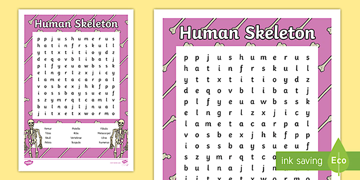 Human Skeletal System Word Search with Answers - Twinkl
