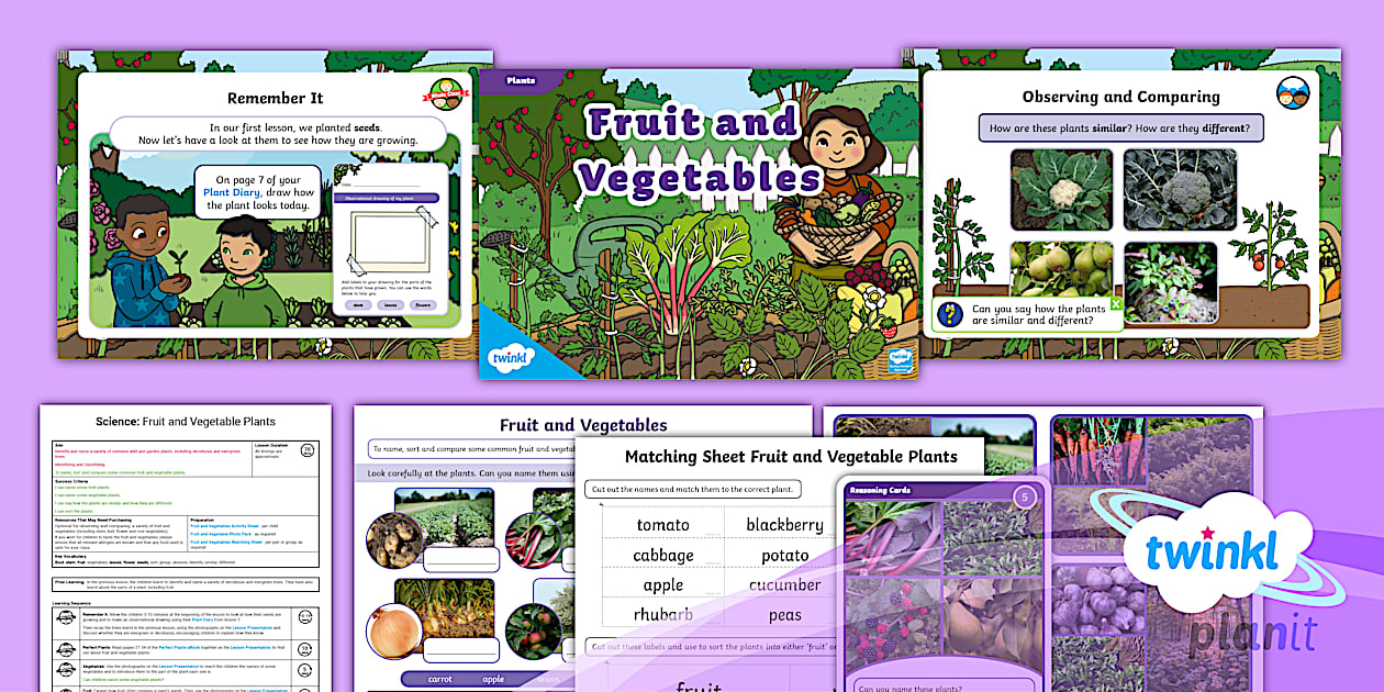 Science: Parts of A Plant You Can Eat | Twinkl | Year 1