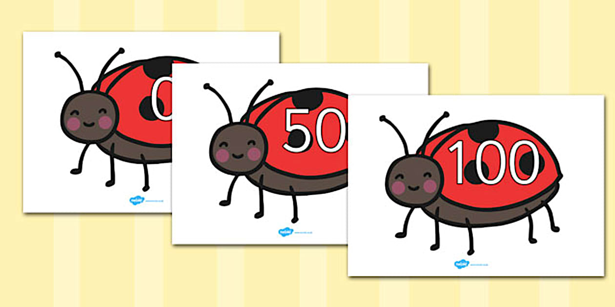 Numbers 0-100 on Ladybird (teacher made) - Twinkl