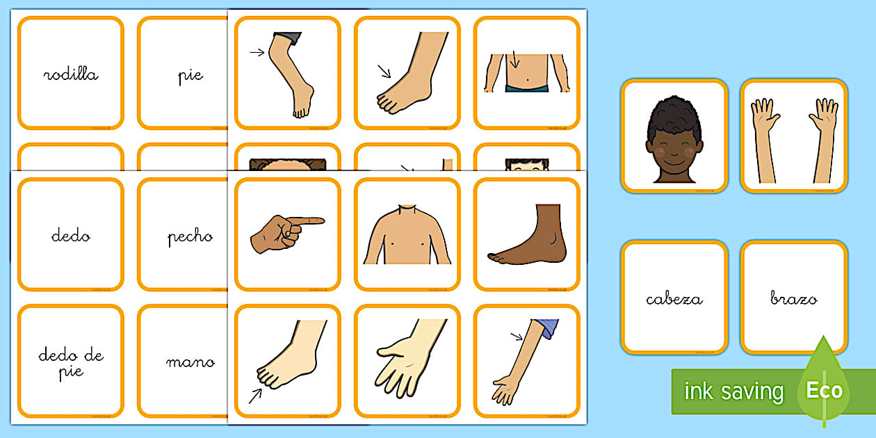 Editable Tarjetas de emparejar: El Cuerpo y la salud
