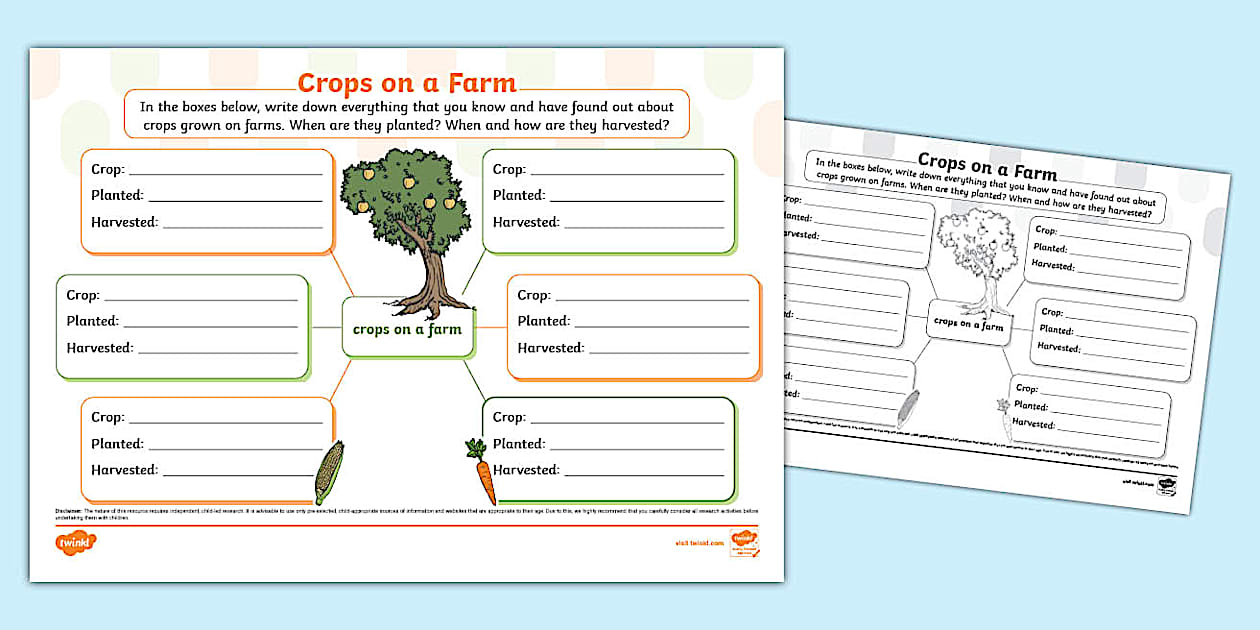 Crops on a Farm Mind Map (l'enseignant a fait) - Twinkl