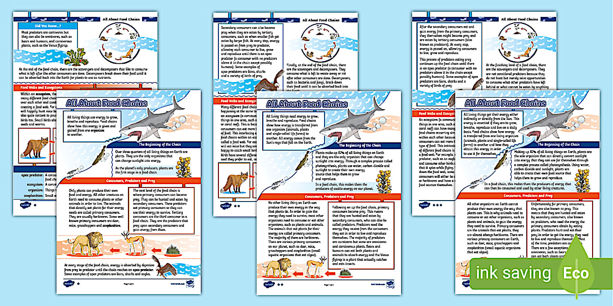 UKS2 All About Food Chains Reading Comprehension Activity