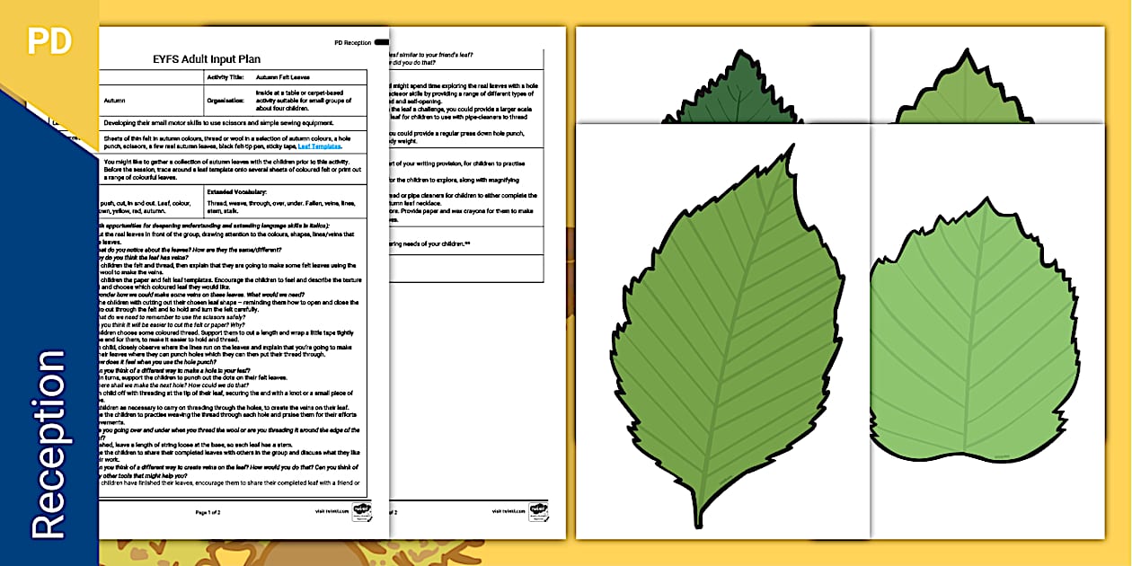 EYFS Autumn Felt Leaves Adult Input Plan & Resource Pack