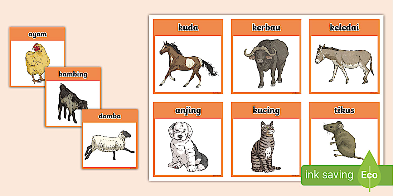 Animals Word Cards Indonesian (teacher made) - Twinkl