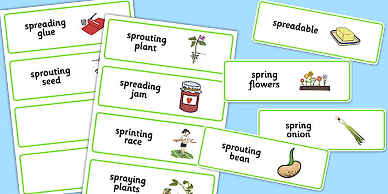 3 Syllable SPR Word Cards