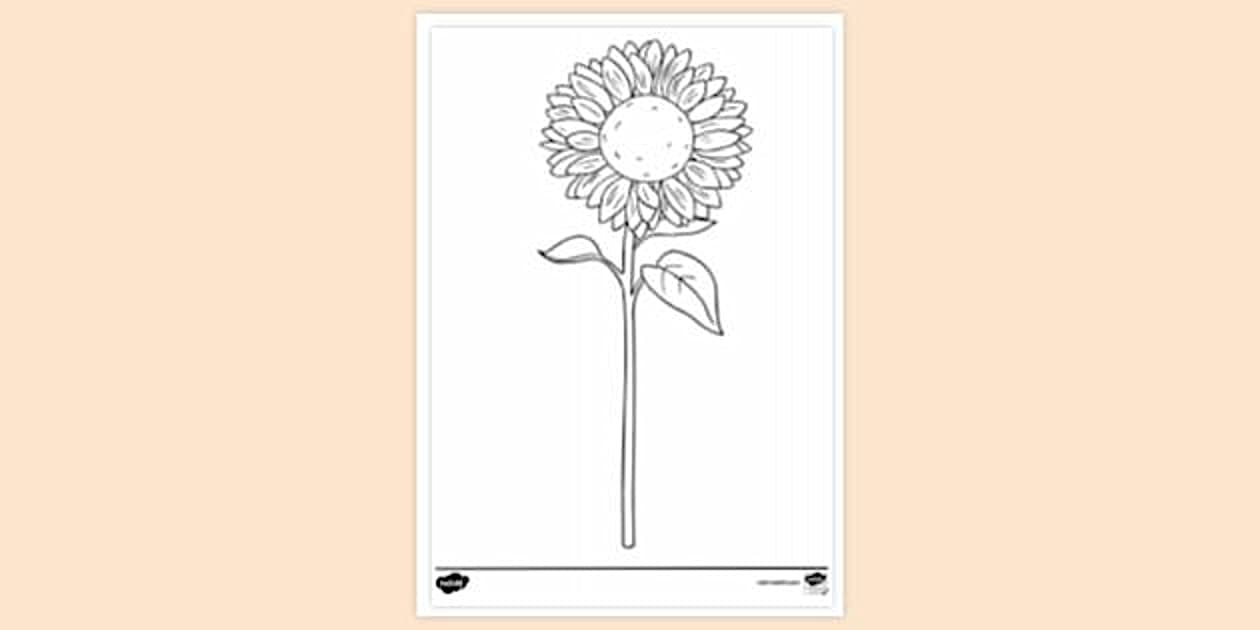 Printable Sunflower Colouring Page | Colouring Sheets