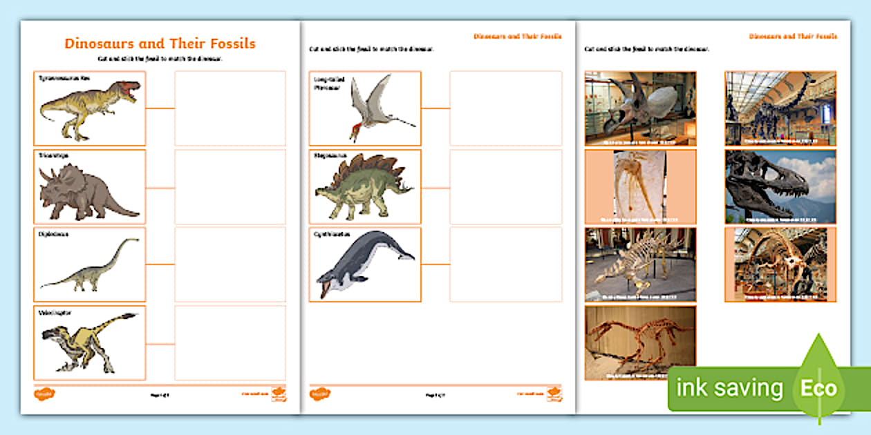 Editable Dinosaurs and Their Fossils Cut and Stick Matching Activity