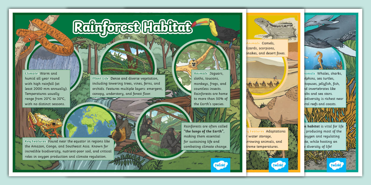Animal Habitat Poster - Twinkl South Africa (teacher made)