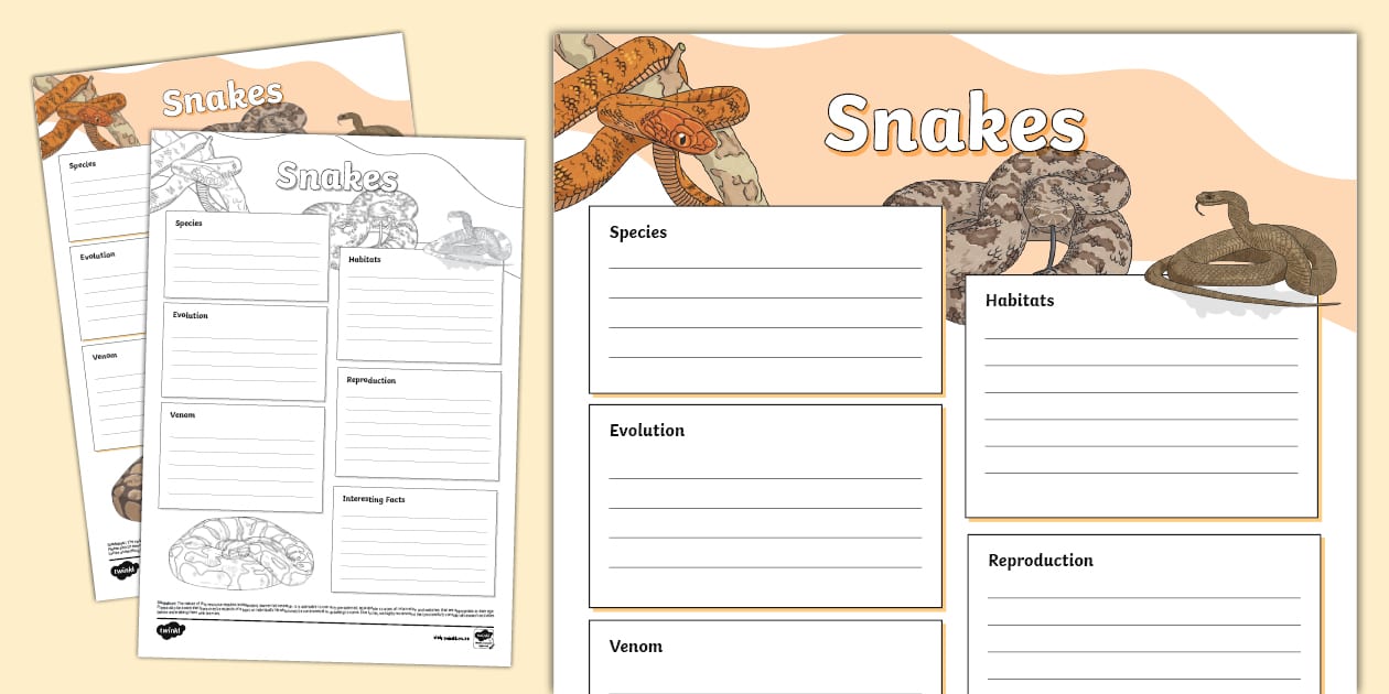 Snakes Fact File Template - Twinkl Writing Frames - Twinkl