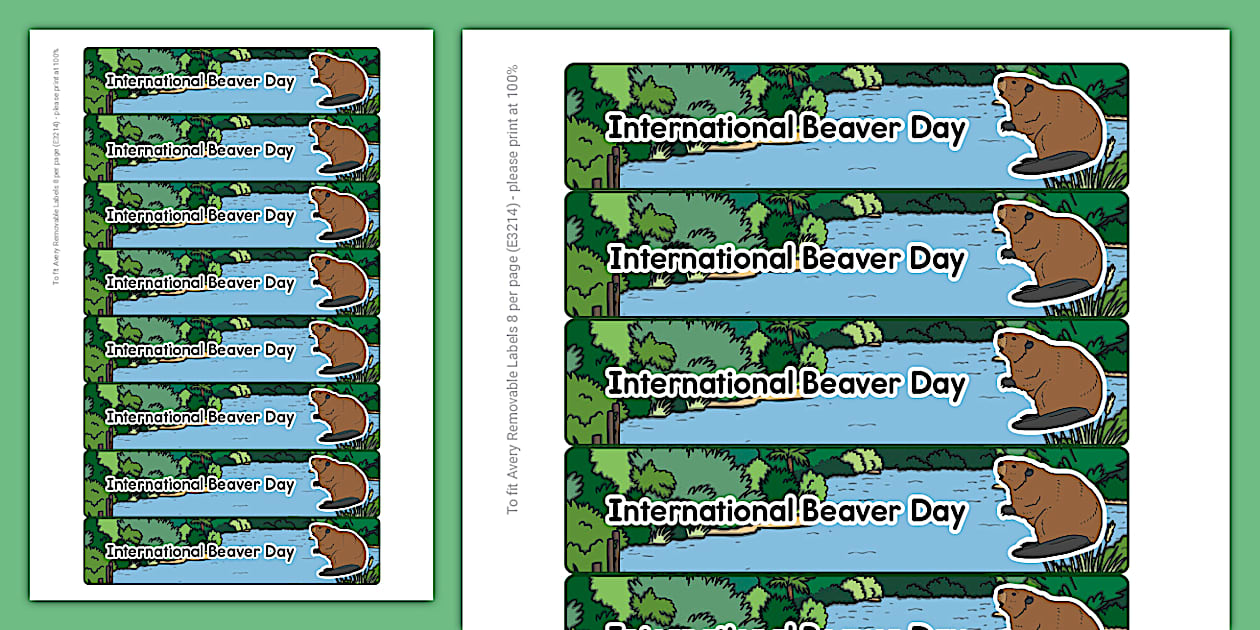 International Beaver Day Stickers (teacher made) - Twinkl