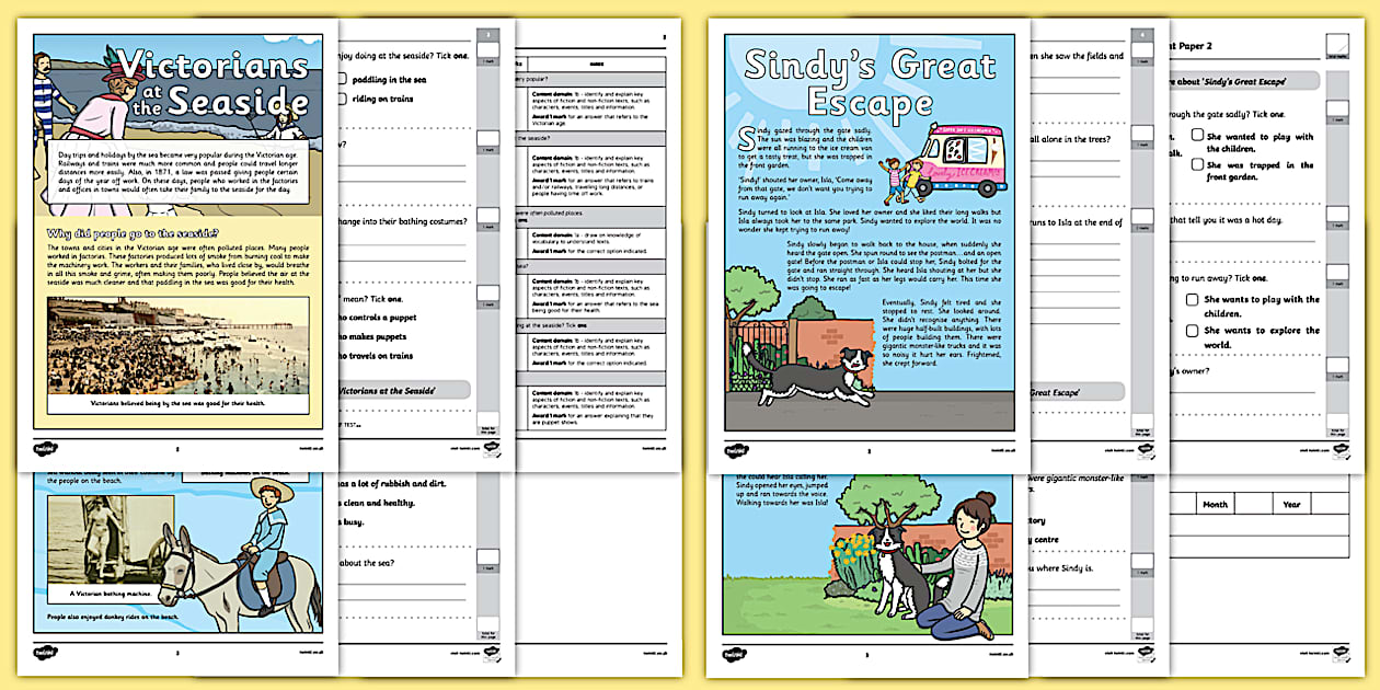 Year 2 Reading Assessment Term 2 Paper 2 (teacher made)