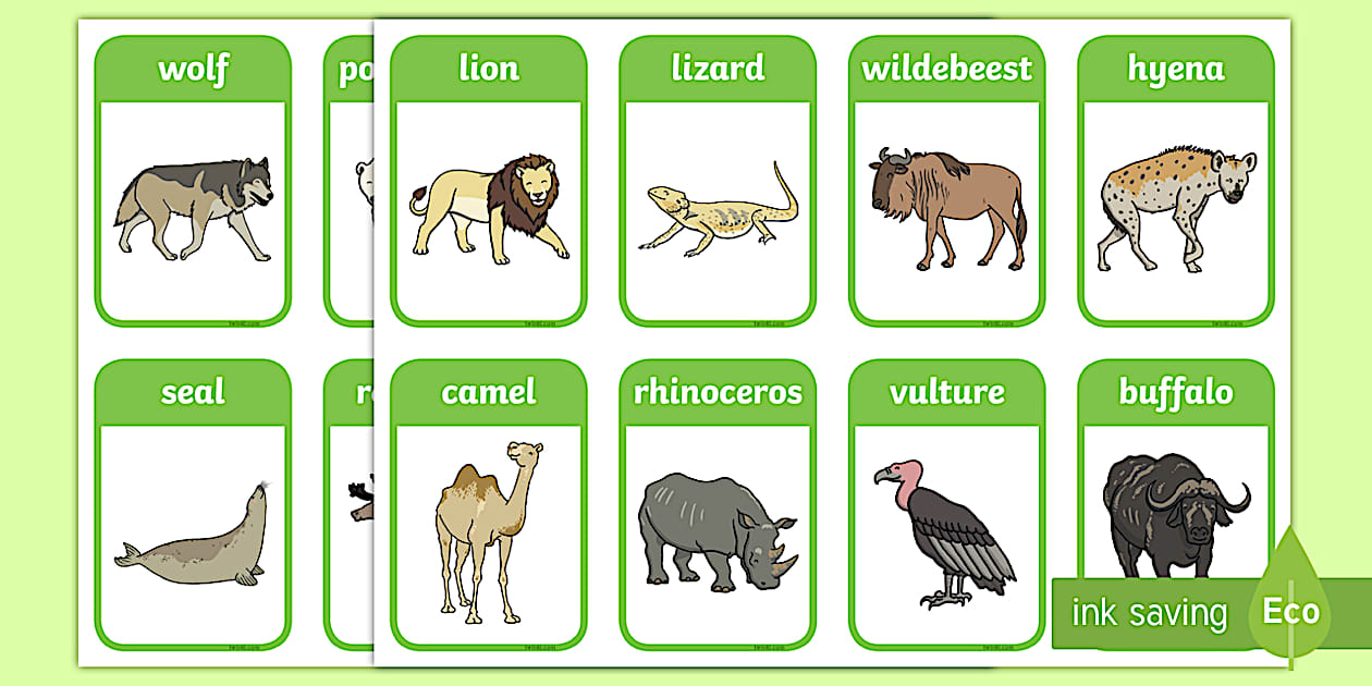 Wild Animals Flashcards | Primary Resources (teacher made)