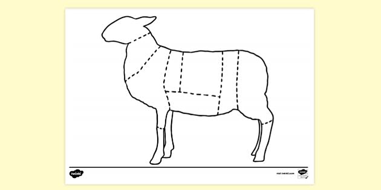 Lamb Cuts Colouring Sheet | Colouring Sheets (teacher made)