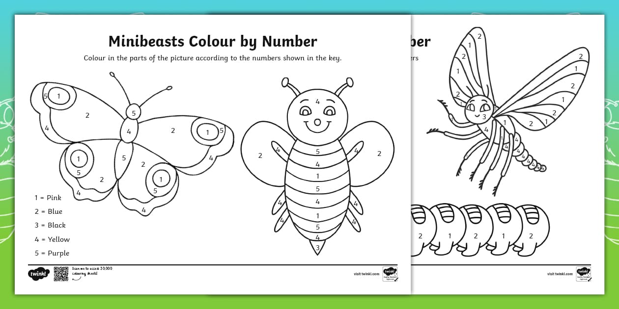 Minibeast Colour by Number (teacher made) - Twinkl
