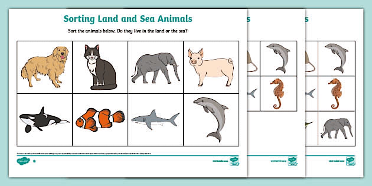 Sorting Land and Sea Animals Worksheet - Twinkl