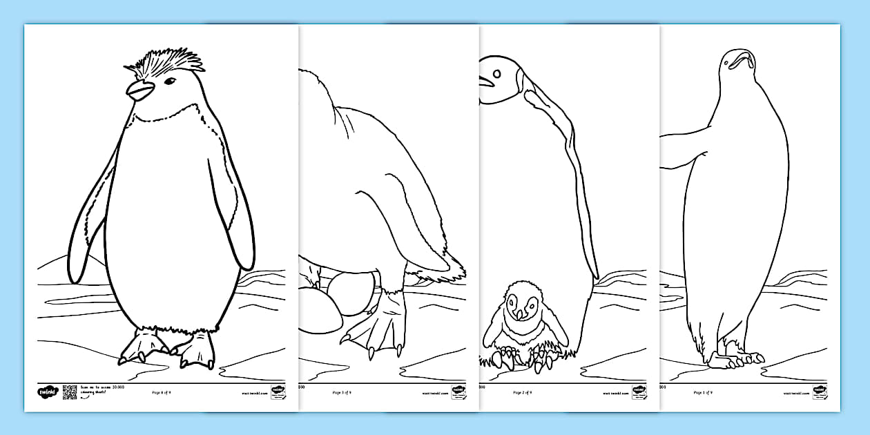 Penguin Colouring Pages | Art Worksheets - Twinkl