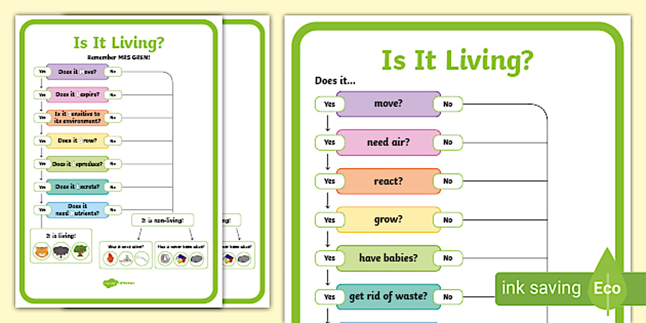 Is It Living or Non-Living? Display Poster - Twinkl