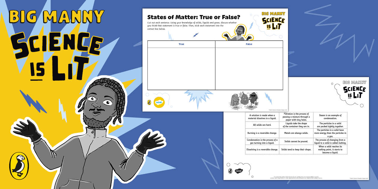 FREE! - Science is Lit: States of Matter - True or False? Activity
