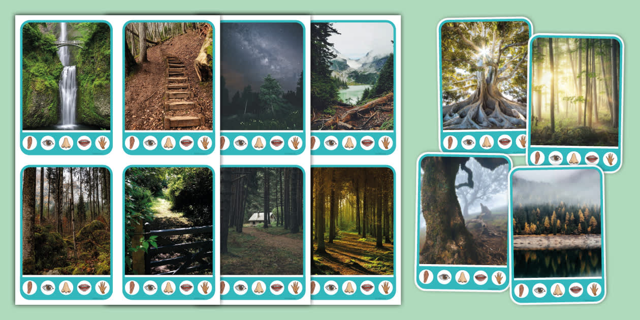 Enchanted Woodland Story Setting Photo Prompt Cards - Twinkl