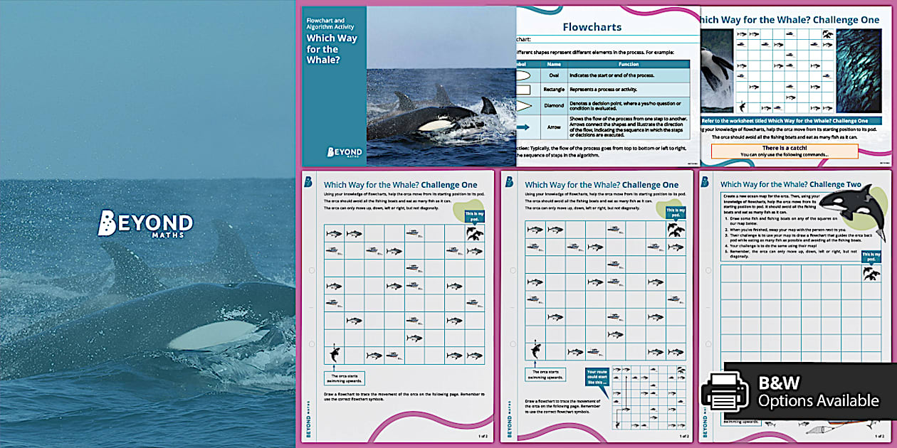 Which Way for the Whale? Flowchart and Algorithm Activity Pack
