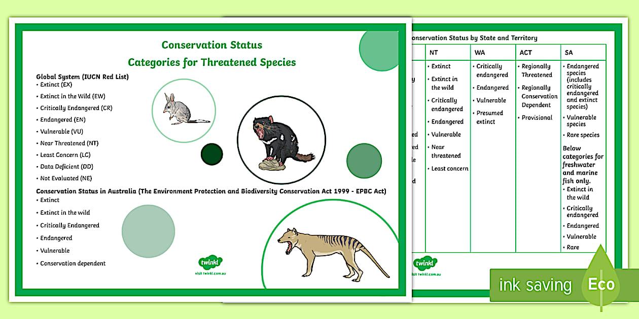 Conservation Status Categories Display Posters - Twinkl