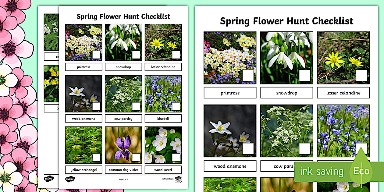 Spring Flower Hunt - Outdoor Spring Checklist (teacher made)