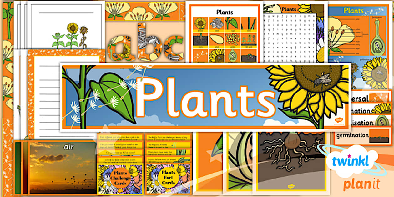 Science: Plants Year 3 Unit Additional Resources - Twinkl