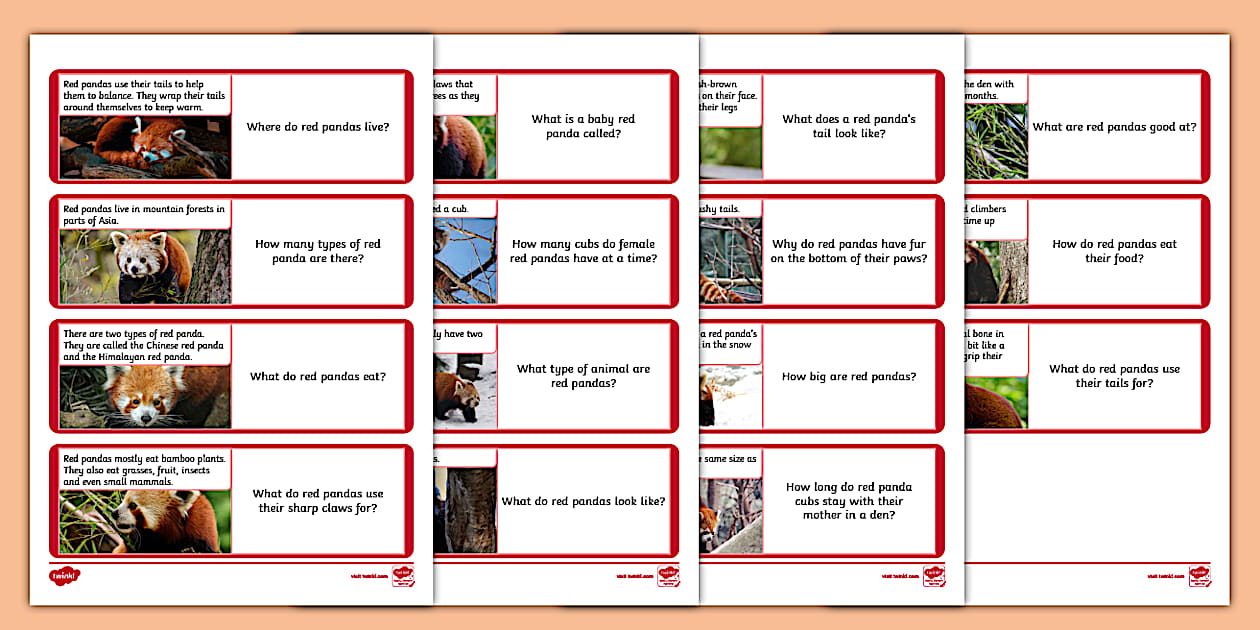 KS1 Red Panda Facts Loop Cards Game (teacher made) - Twinkl