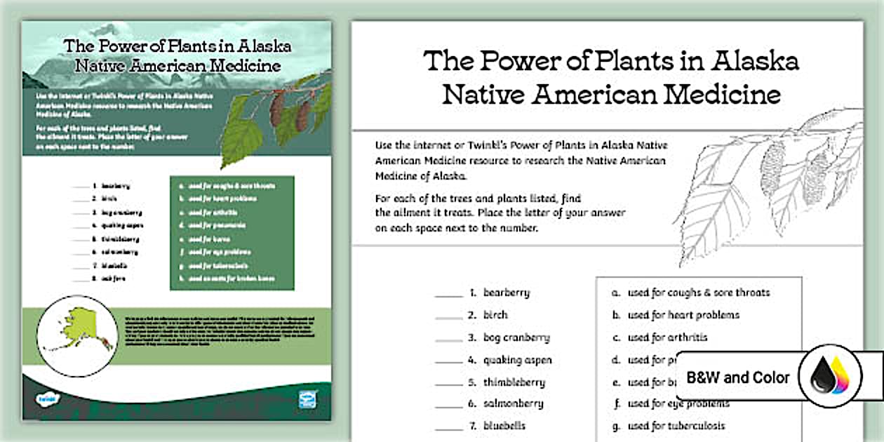 Alaska Native American Medicine Matching Worksheet for 6th-8th Grade