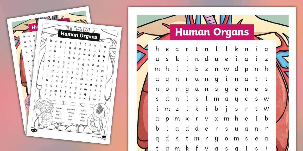 Human Organs Word Search (teacher made) - Twinkl