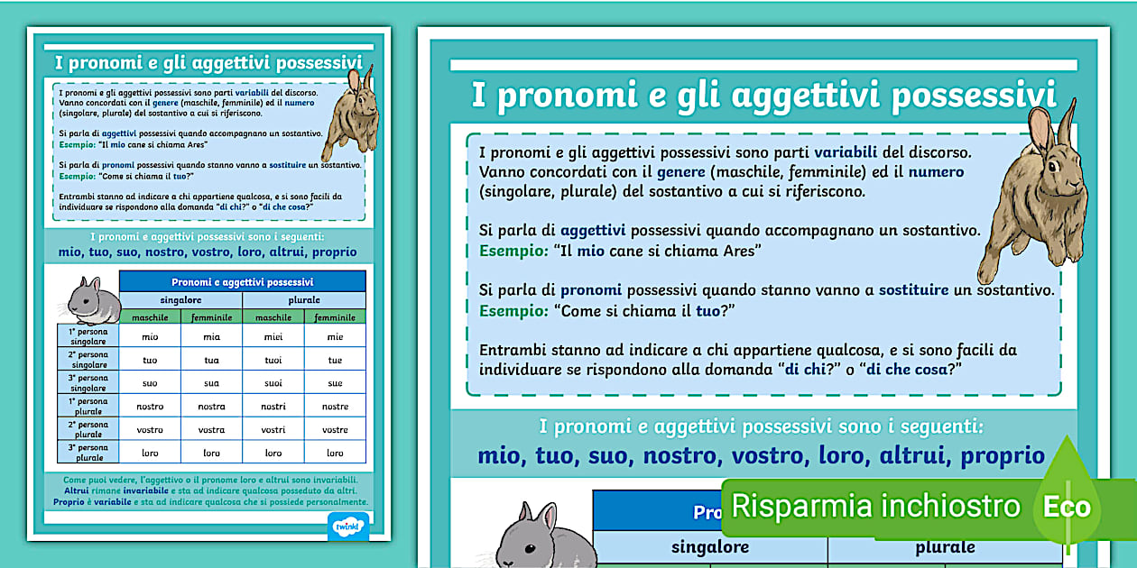 Scheda su Aggettivi e Pronomi Possessivi | Scuola Primaria