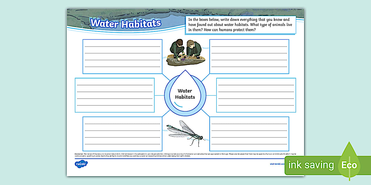 Water Habitats Mind Map (teacher made) - Twinkl