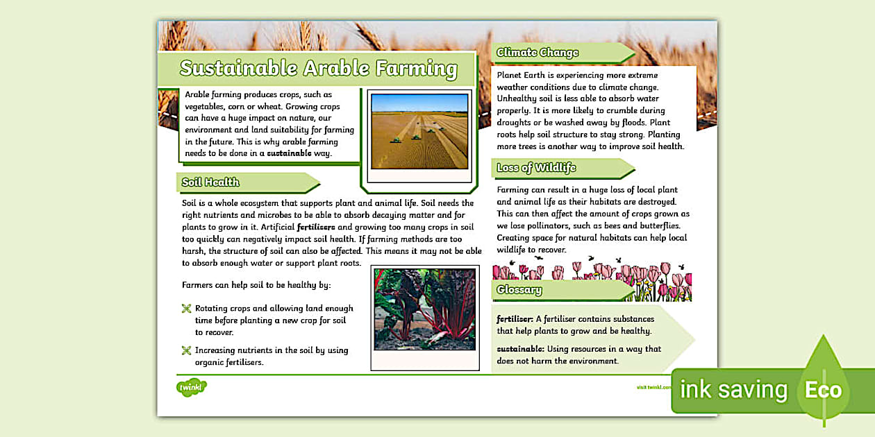 Sustainable Arable Farming Fact File - Twinkl - KS2 - Twinkl