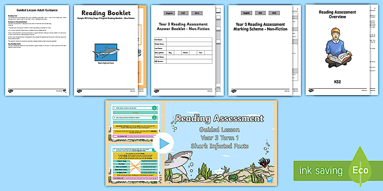 Year 3 Term 1 Non-Fiction Reading Assessment Guided Lesson Teaching Pack