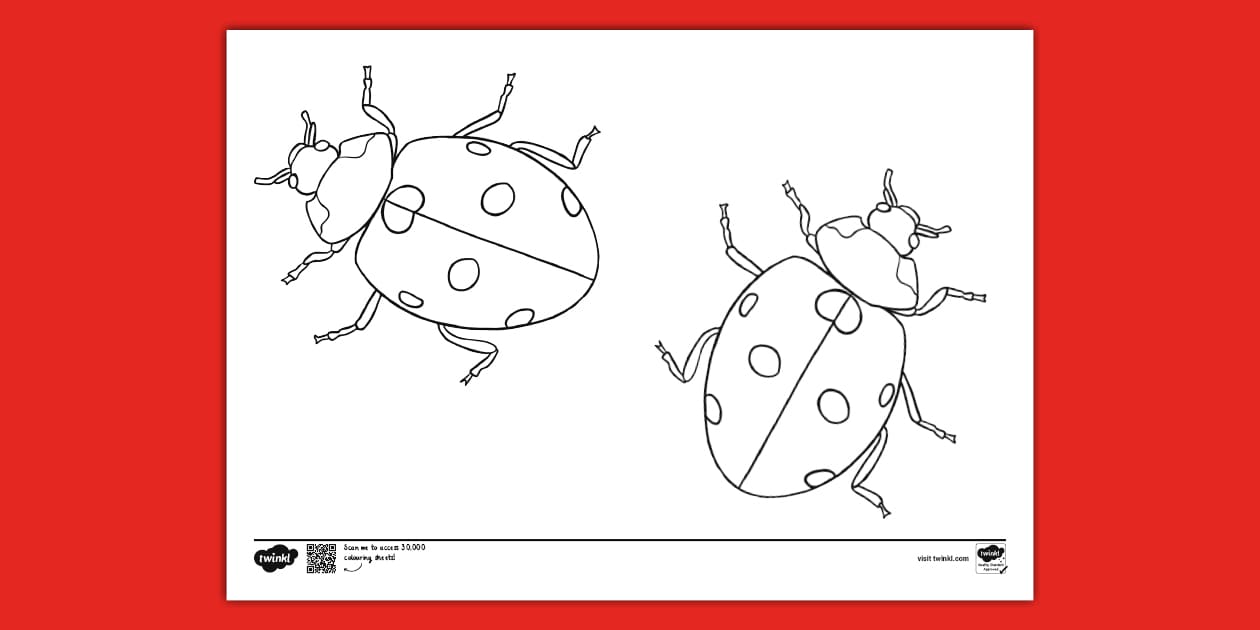 Ladybird Colouring Page | Colouring Sheets (Teacher-Made)
